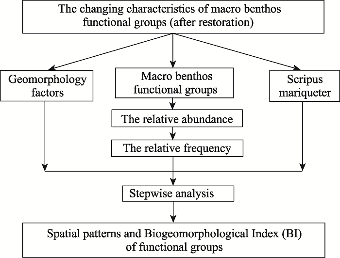 The Spatio-temporal Patterns of Macro Benthos Functional Groups and the ...